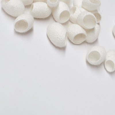 Silk Cocoons for Sale Online Australia Wide Shipping - Mary Maker ...